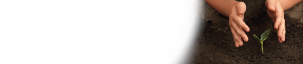 Your implant idea - ChM sp. z o.o.